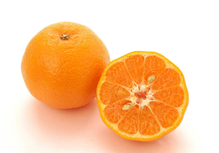 ポンカンを収穫する育て方と植物の特徴をわかりやすく解説